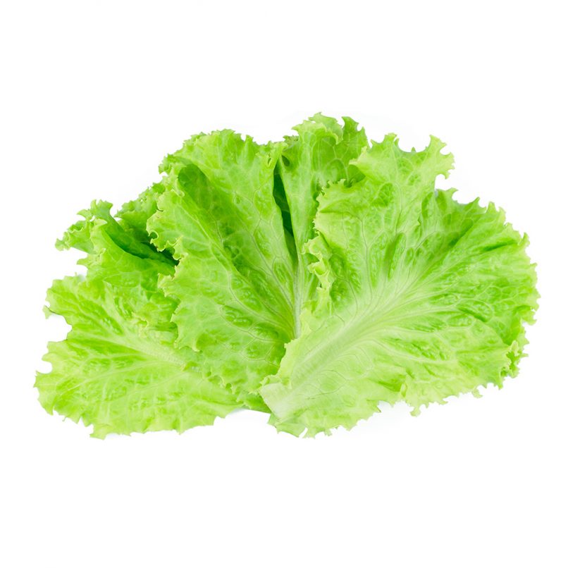Our Products - Food Service - GSF Fresh