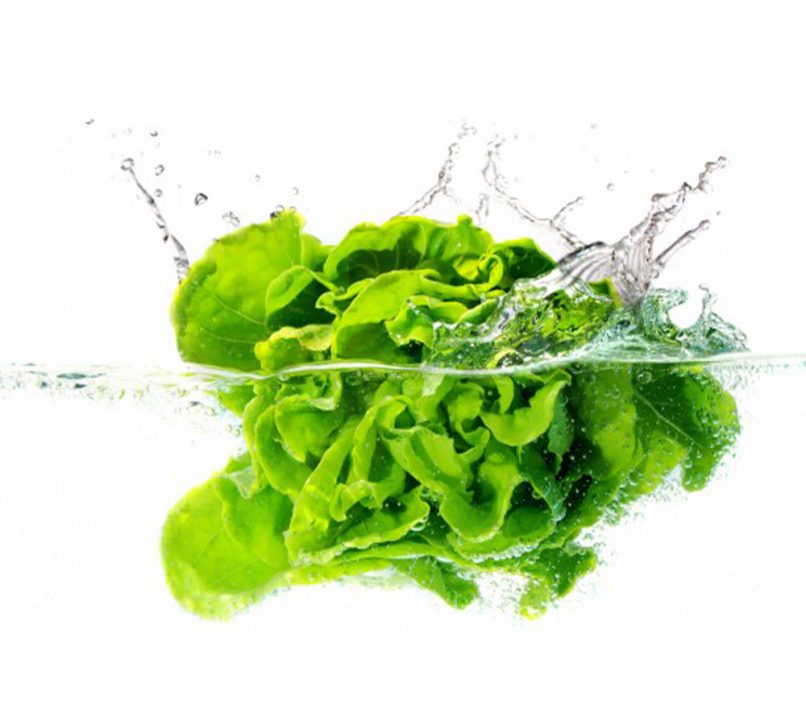 Our Innovation - GSF Fresh